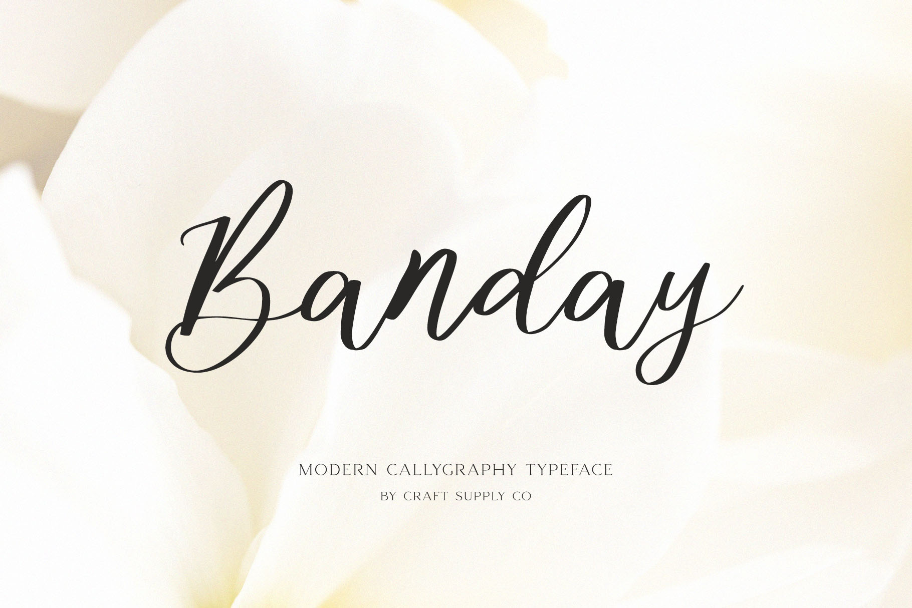 Banday - Modern Calligraphy - Craft Supply Co