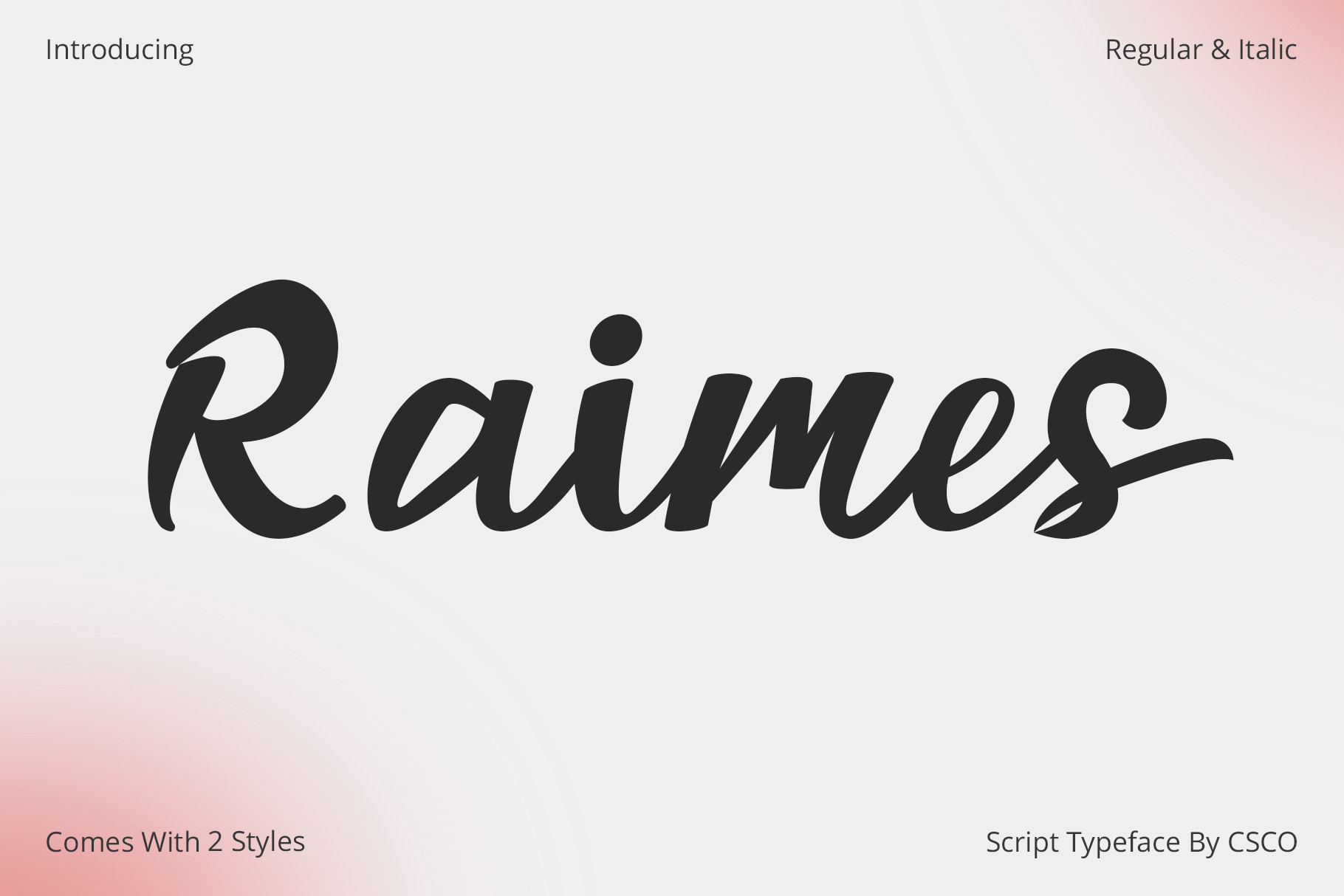 Raimes - Charming and Playful Script Typeface - Craft Supply Co