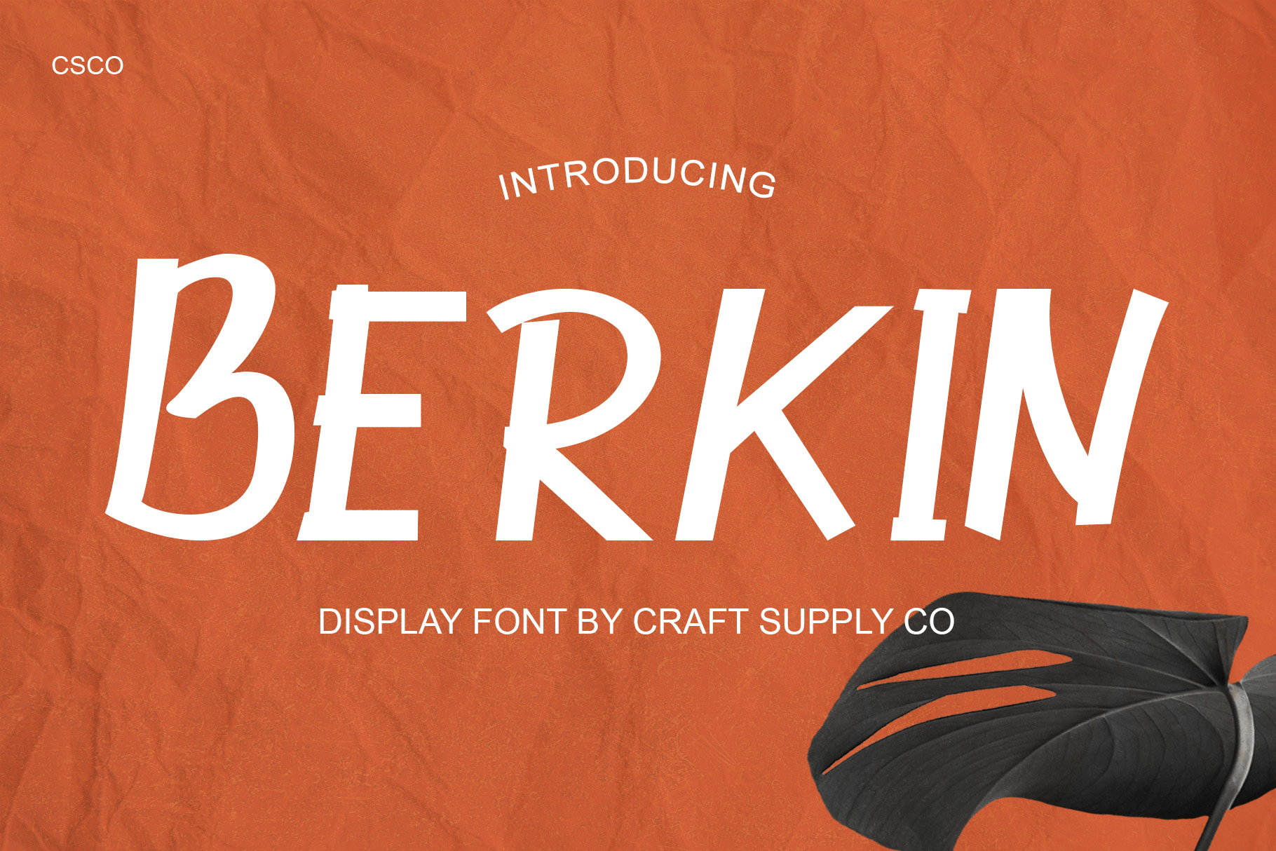 Berkin Display Font: A Playful Typeface for Eye-Catching Designs ...