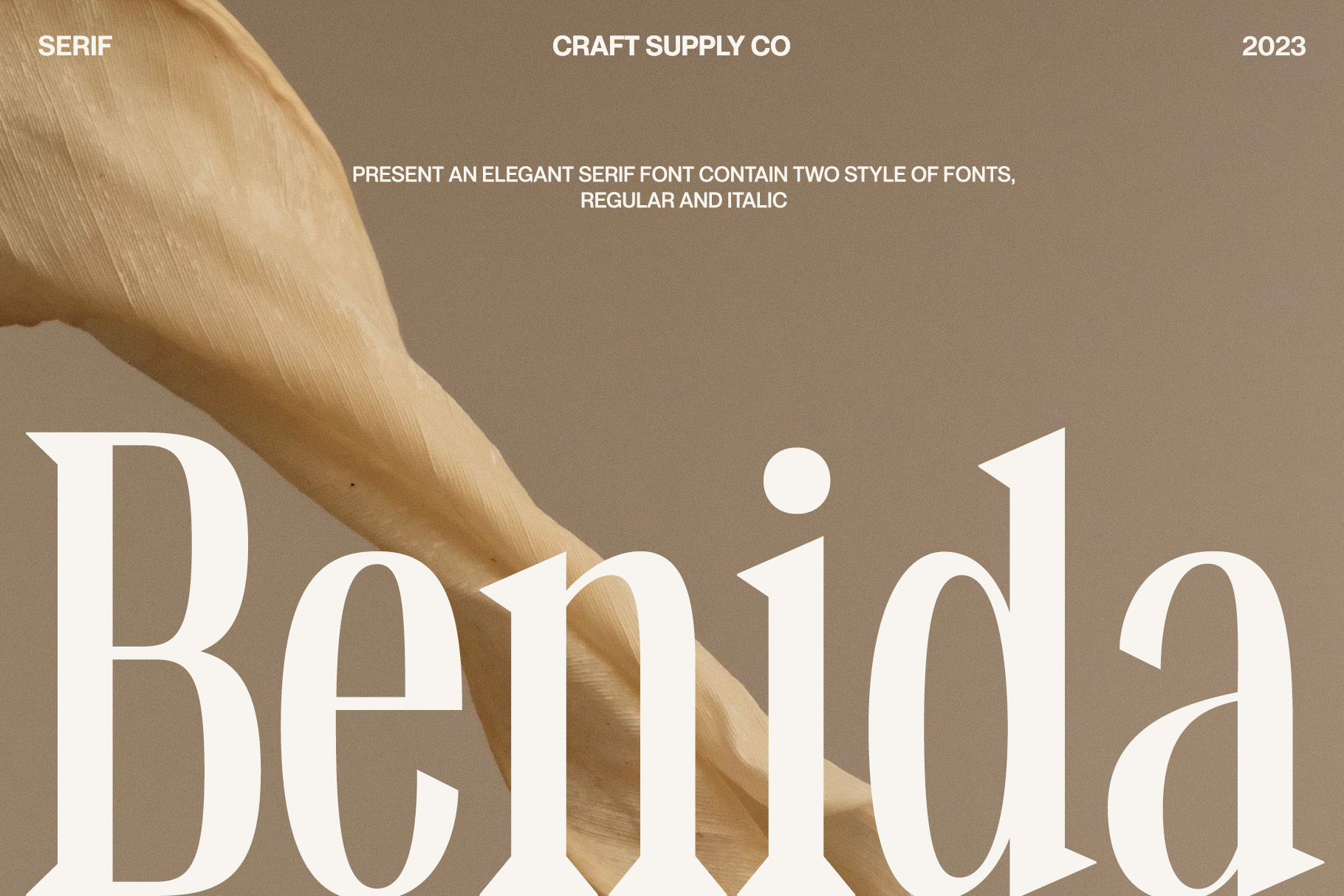 Benida: The Elegant and Versatile High-Contrast Serif Font - Craft ...