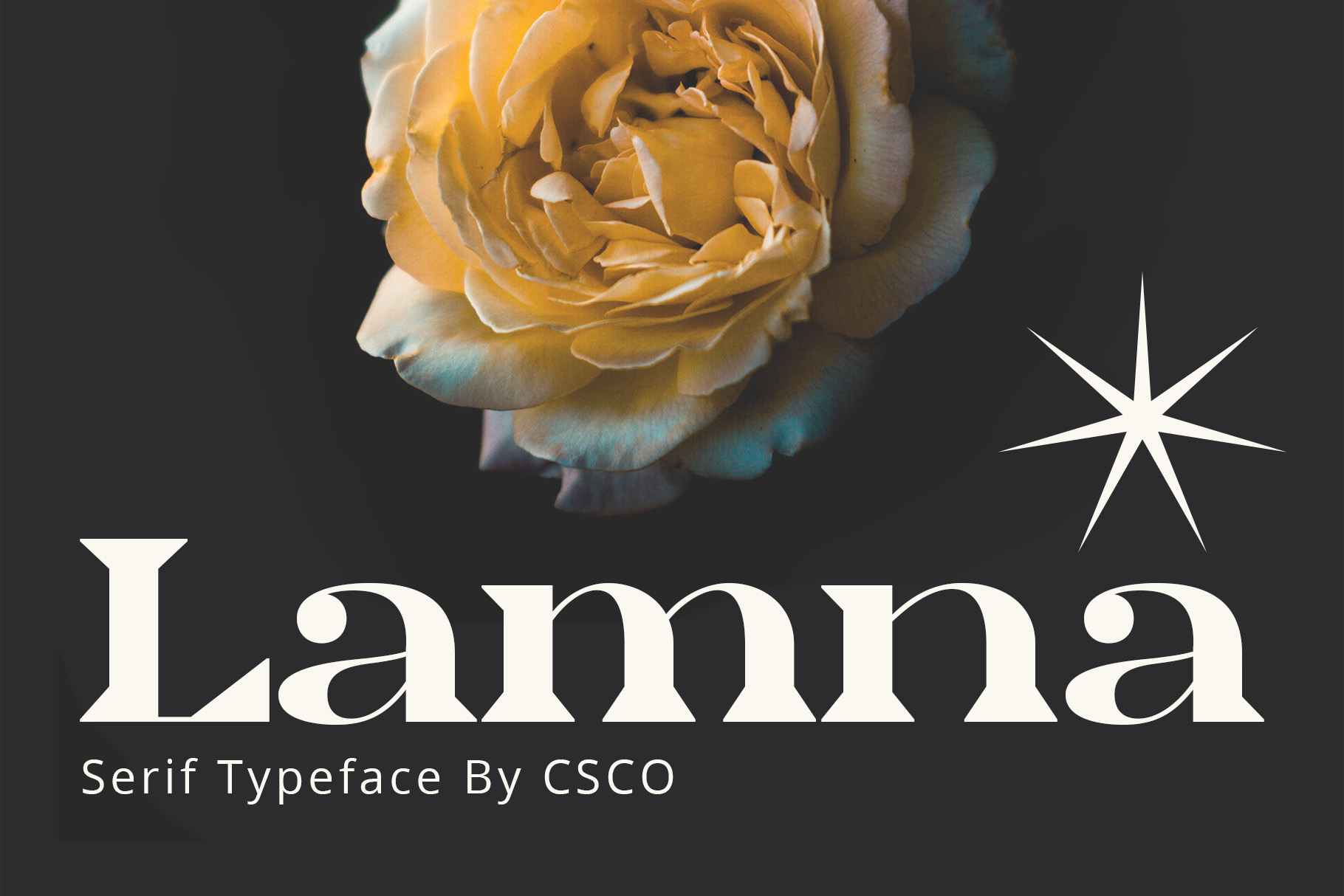 Lamna Wide Serif Font: Elegance Meets Modern Simplicity - Craft Supply Co