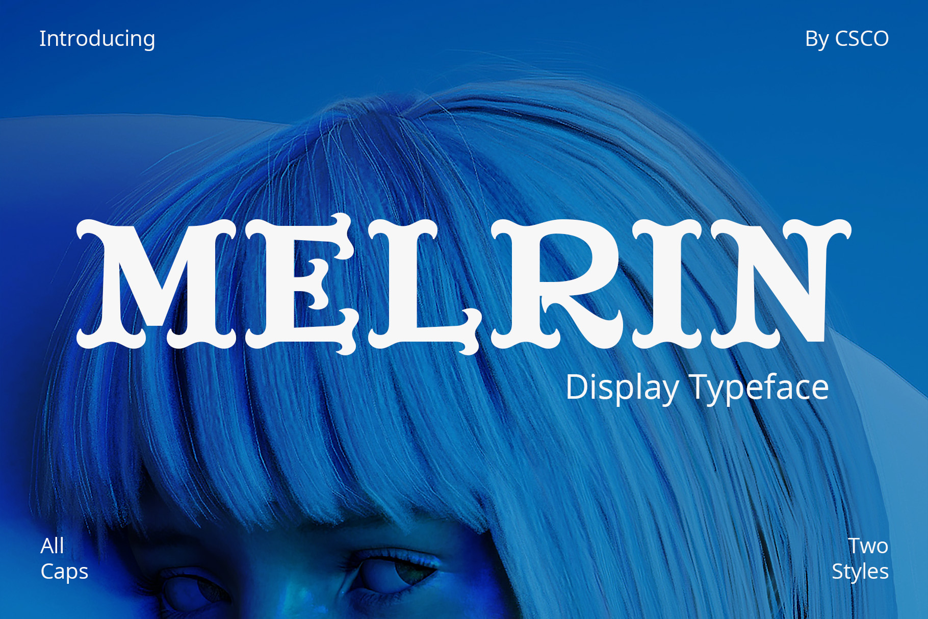 Melrin Typeface - A Unique Floral Serif for Retro and Modern - Craft ...