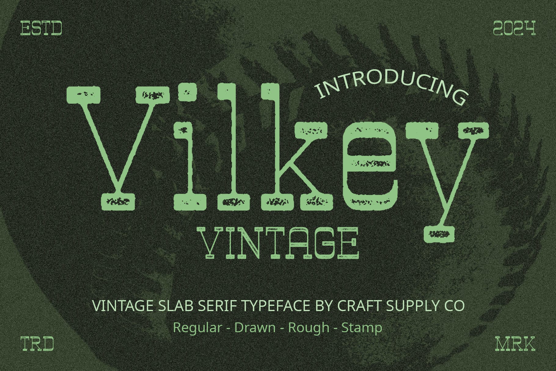 Vilkey Vintage: Retro Revival in Display Fonts - Craft Supply Co