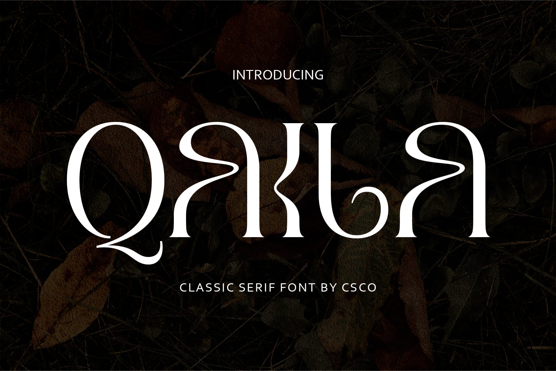 Qaila Font: Refined Sophistication Meets Trippy Serif Magic - Craft ...