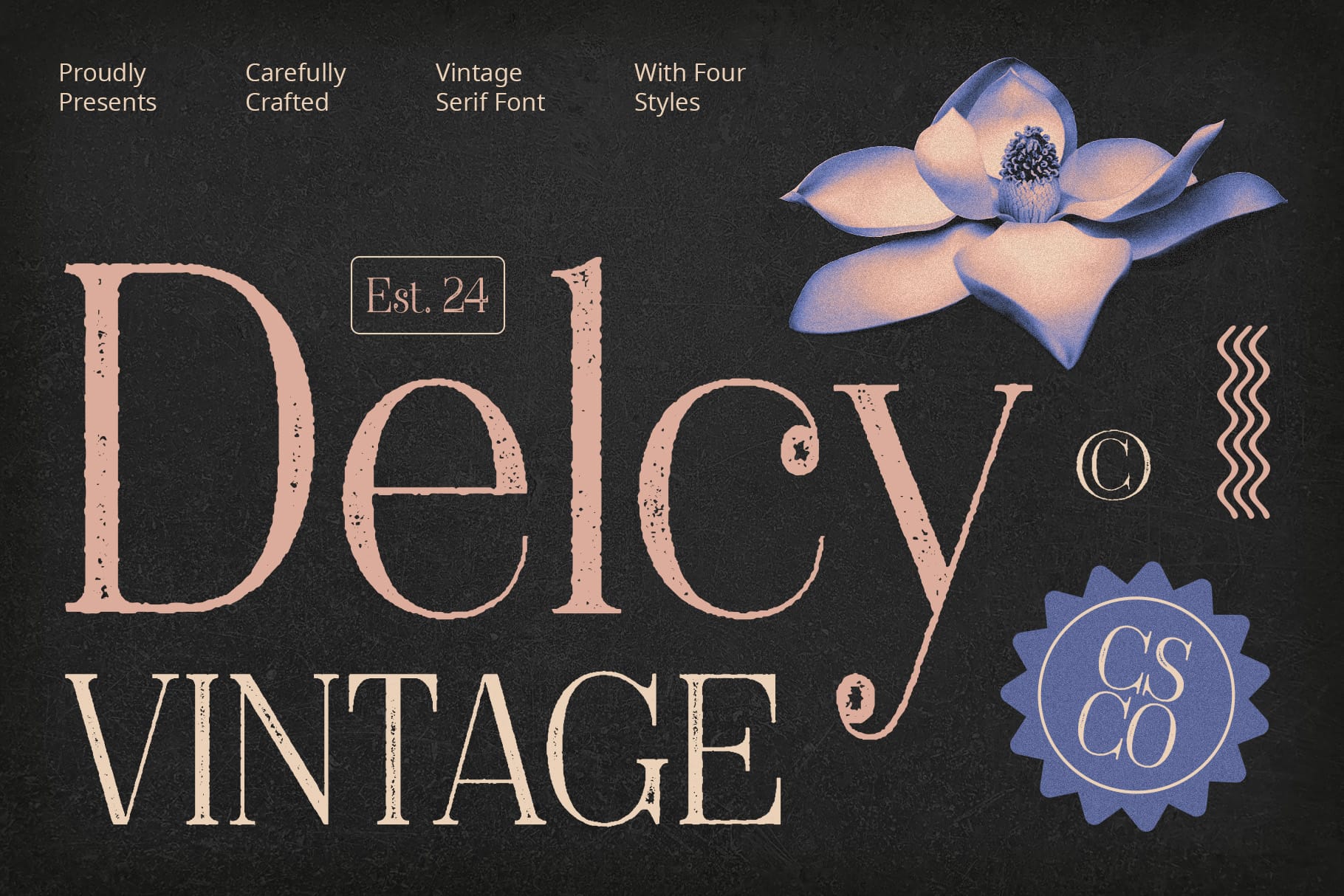 Delcy Vintage: Timeless Elegance Typeface - Craft Supply Co