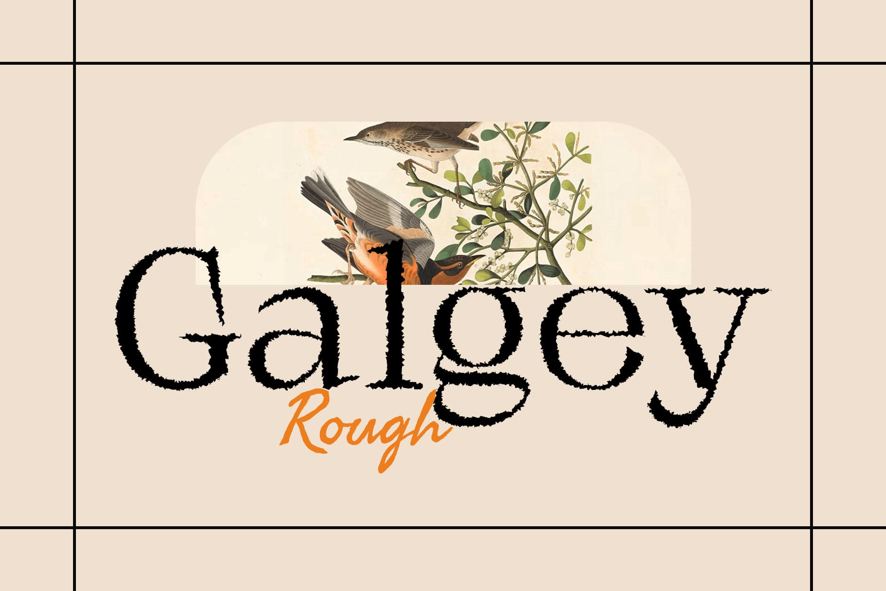 Galgey Rough subtle elegance font - Craft Supply Co