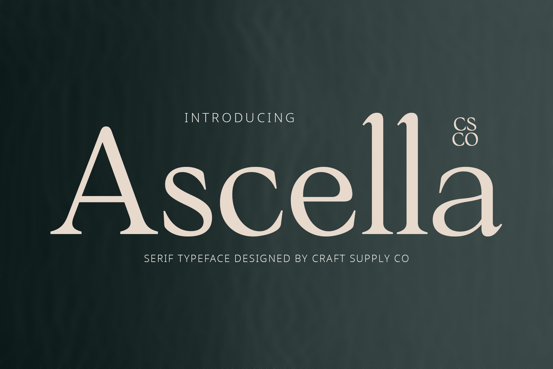 Ascella Modern Font: Elegant Modern Serif - Craft Supply Co