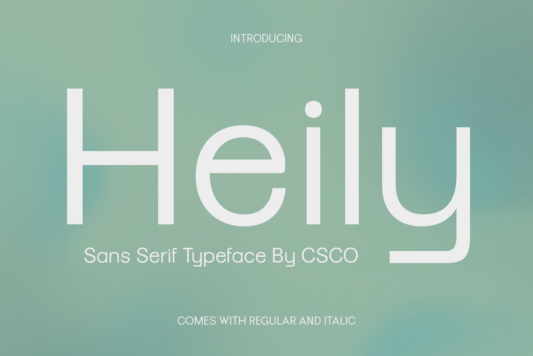 Heily: Modern Grotesque Sans Serif with Swiss Design Influence - Craft ...