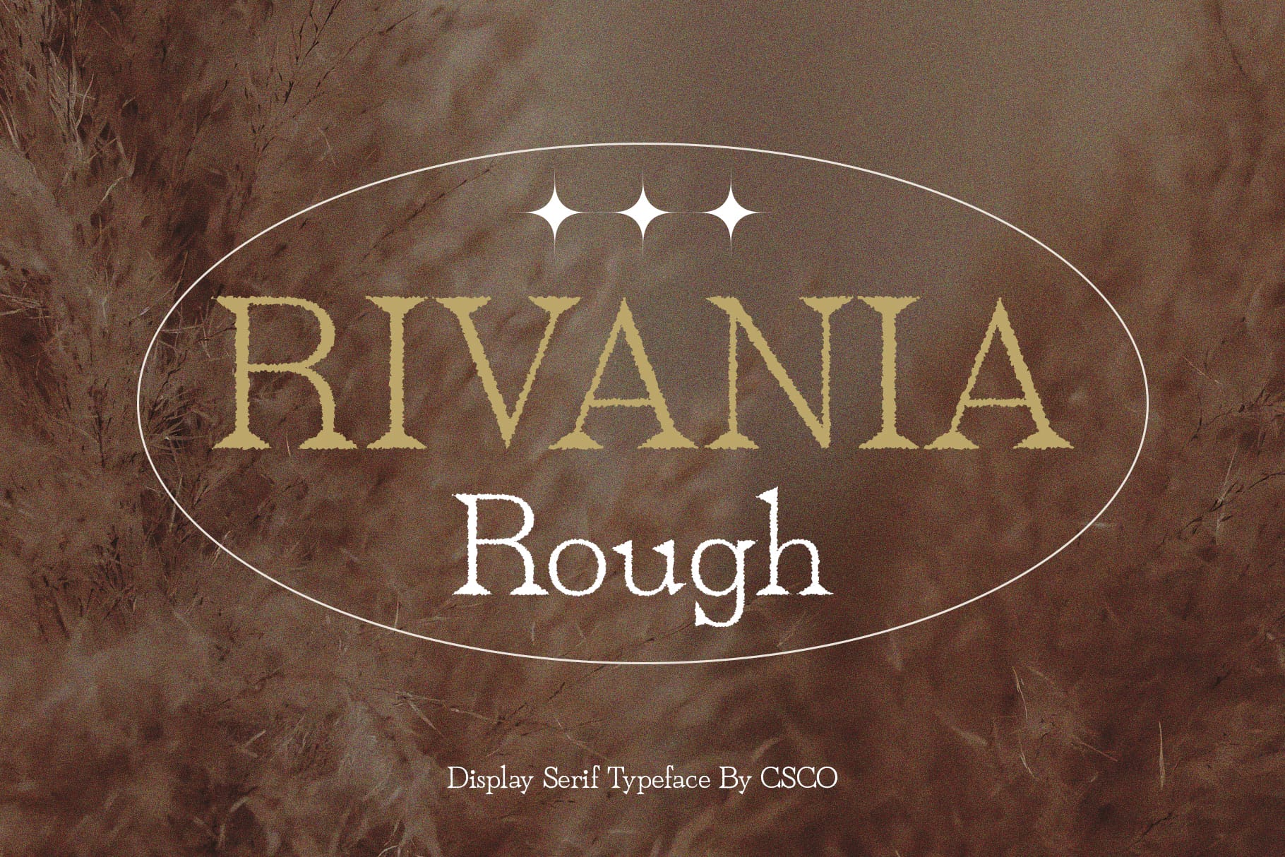 Rivania Rough Font: Modern Serif Font with a Touch of Roughness - Craft ...