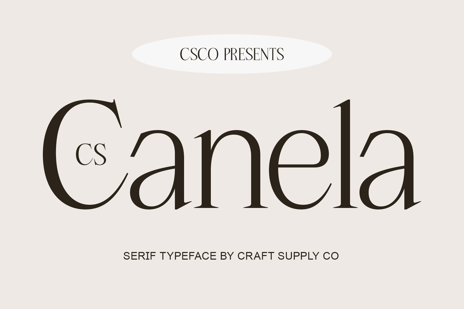 CS Canela Font: Elegant Modern Serif Font for Professionals - Craft ...