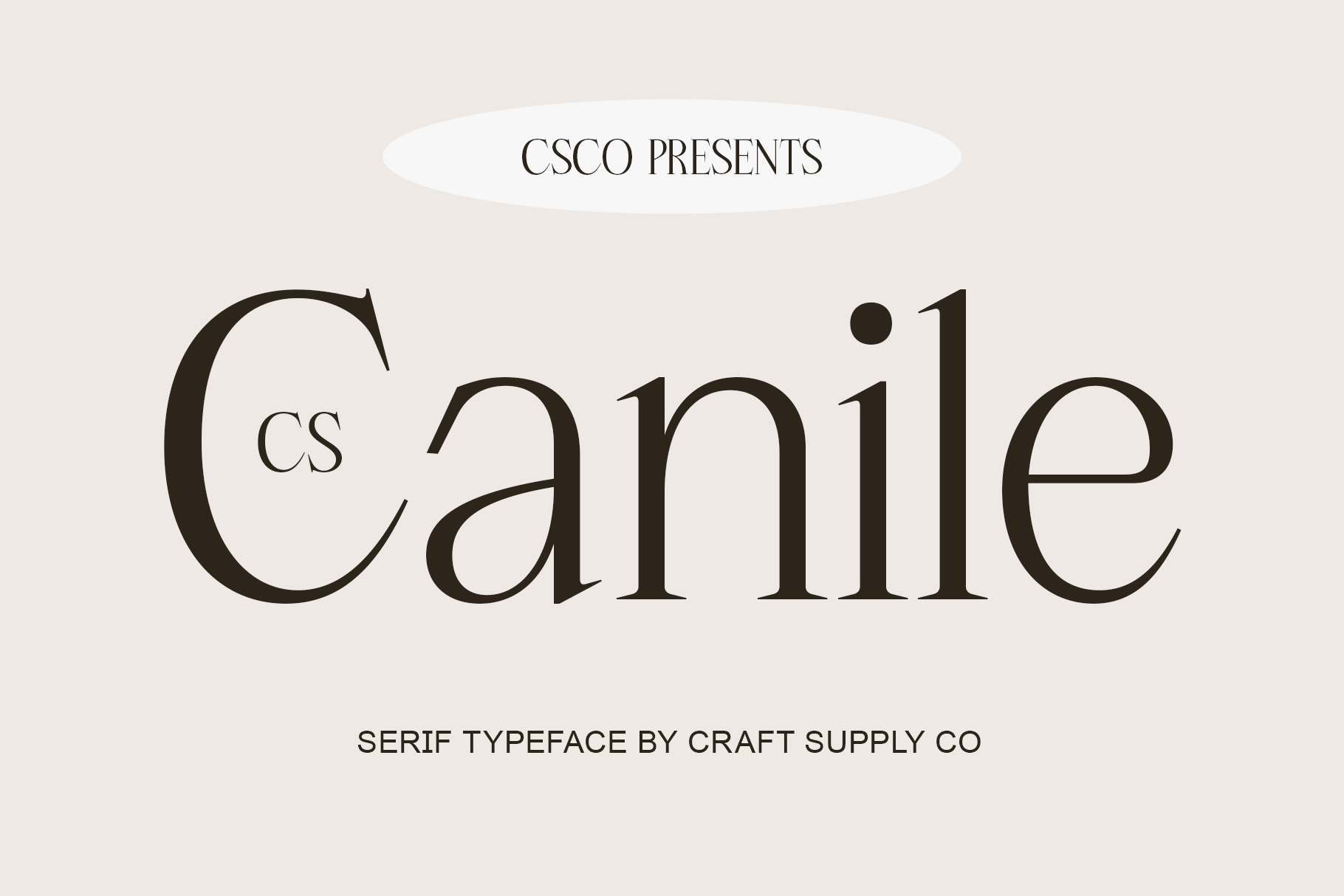 CS Canile Font: Elegant Modern Serif Font for Professionals - Craft ...