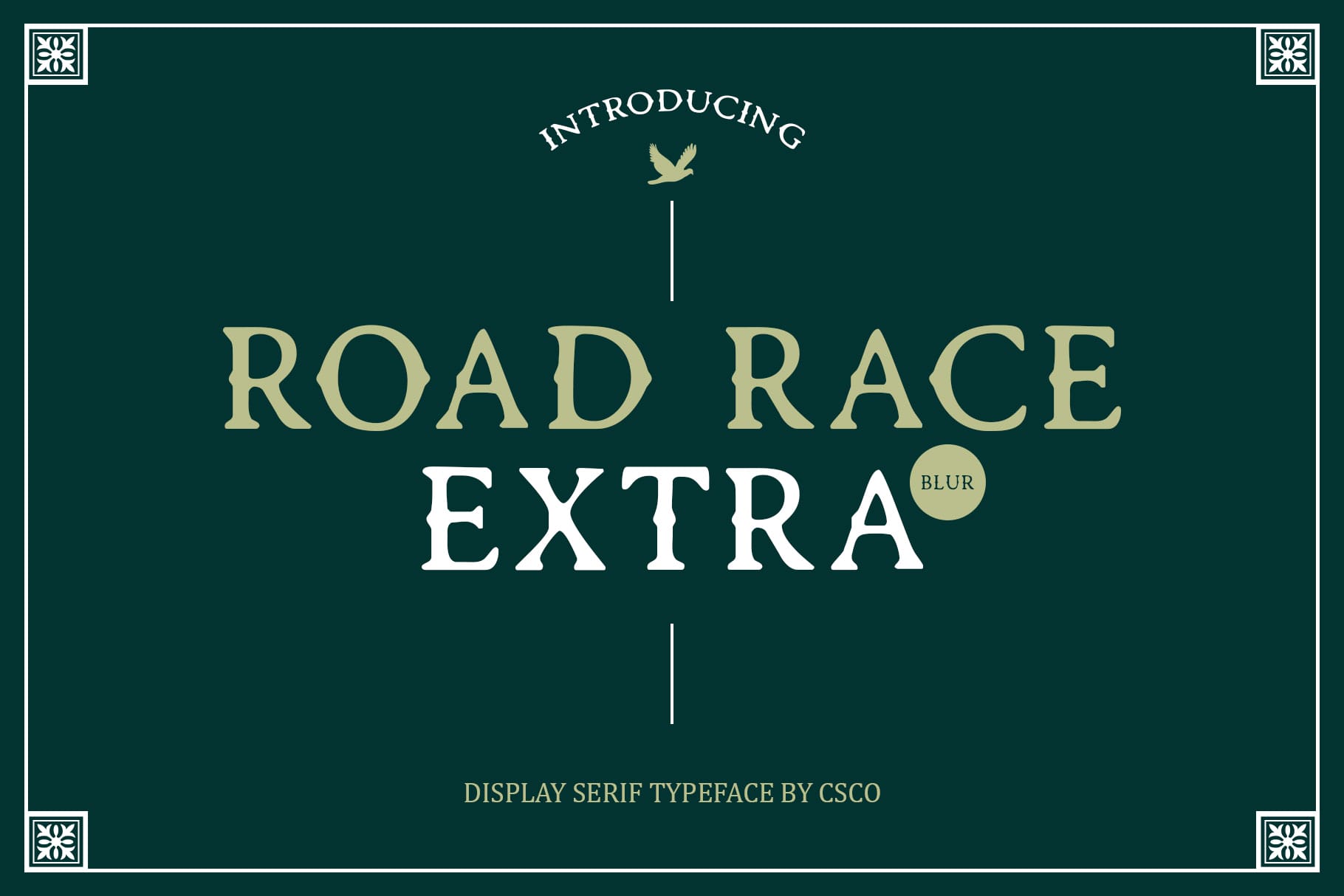 Road Race Extra Blur: Display Serif Font with Dynamic Blur - Craft ...