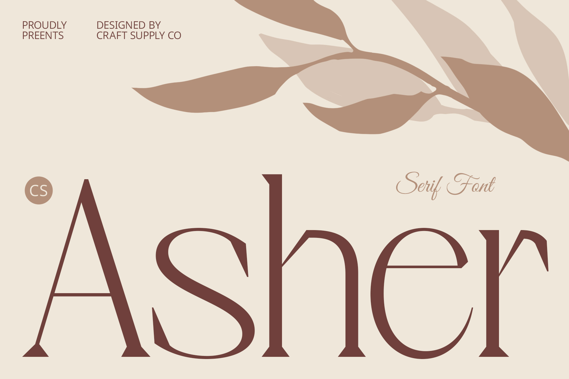 CS Asher Font: Elegant Modern Serif Font for Upscale Branding - Craft ...