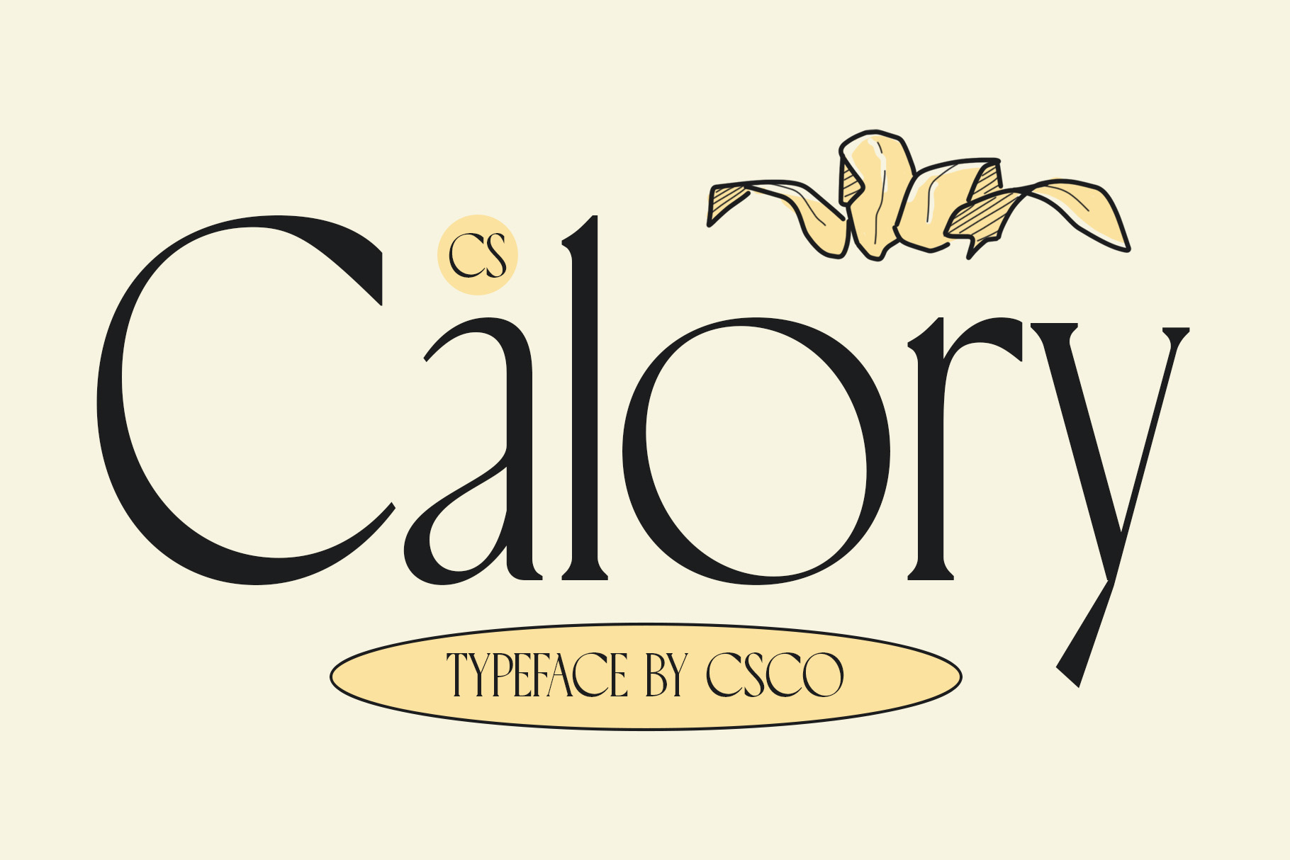 CS Calory Font: Elegant Condensed Serif Font - Craft Supply Co