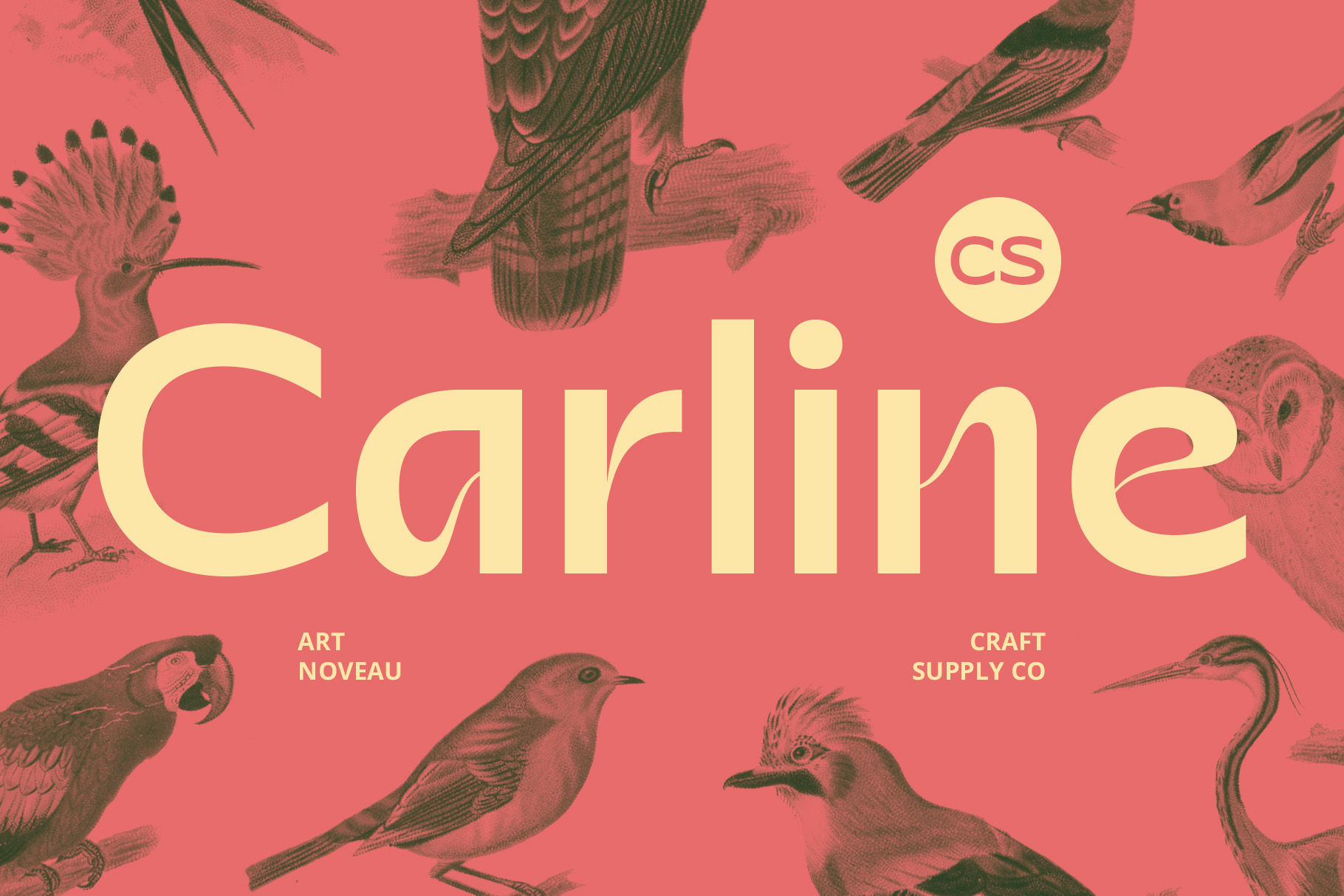 CS Carline Font: Modern Elegance with Organic Beauty - Craft Supply Co