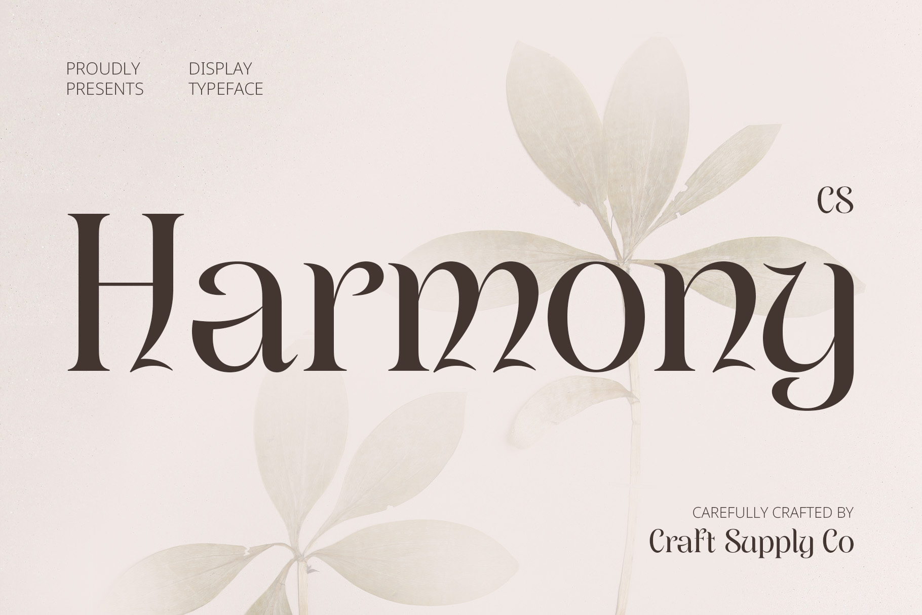 CS Harmony Font: Captivating Elegance with Artistic Flair - Craft Supply Co