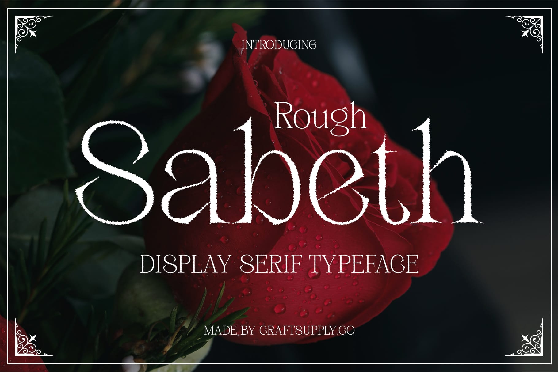 Sabeth Rough Font: Elegance with a Textured Edge - Craft Supply Co