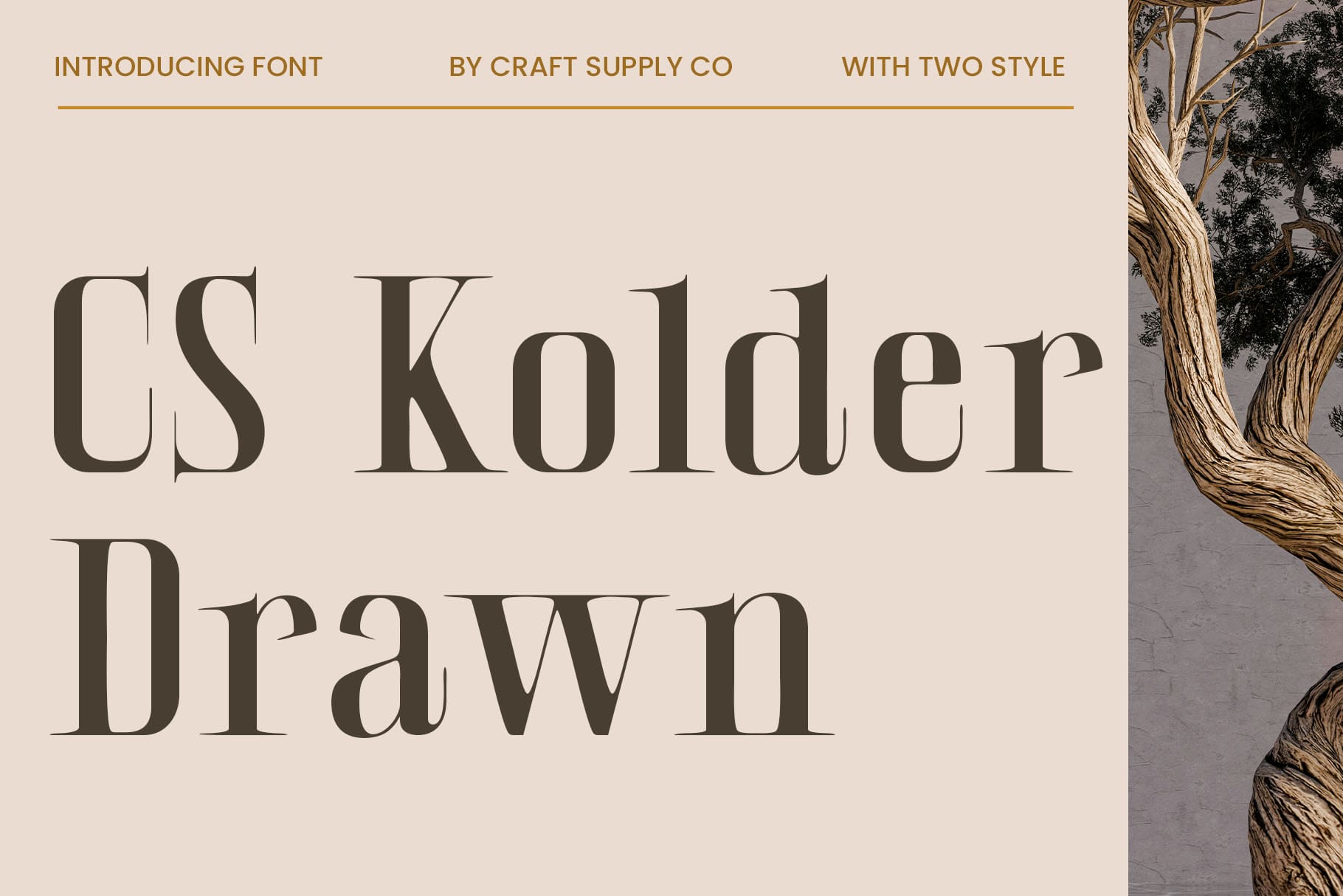 CS Kolder Drawn: Where Elegance Meets Artistic Craft - Craft Supply Co