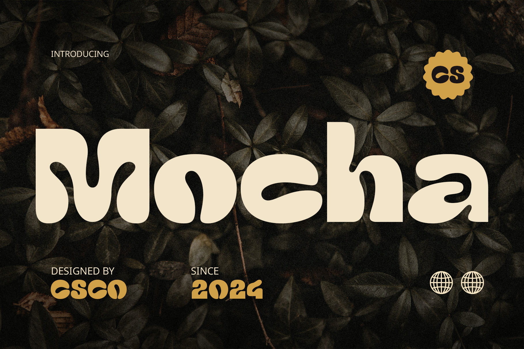 CS Mocha Font: Warm and Unique Coffee Bean Font - Craft Supply Co