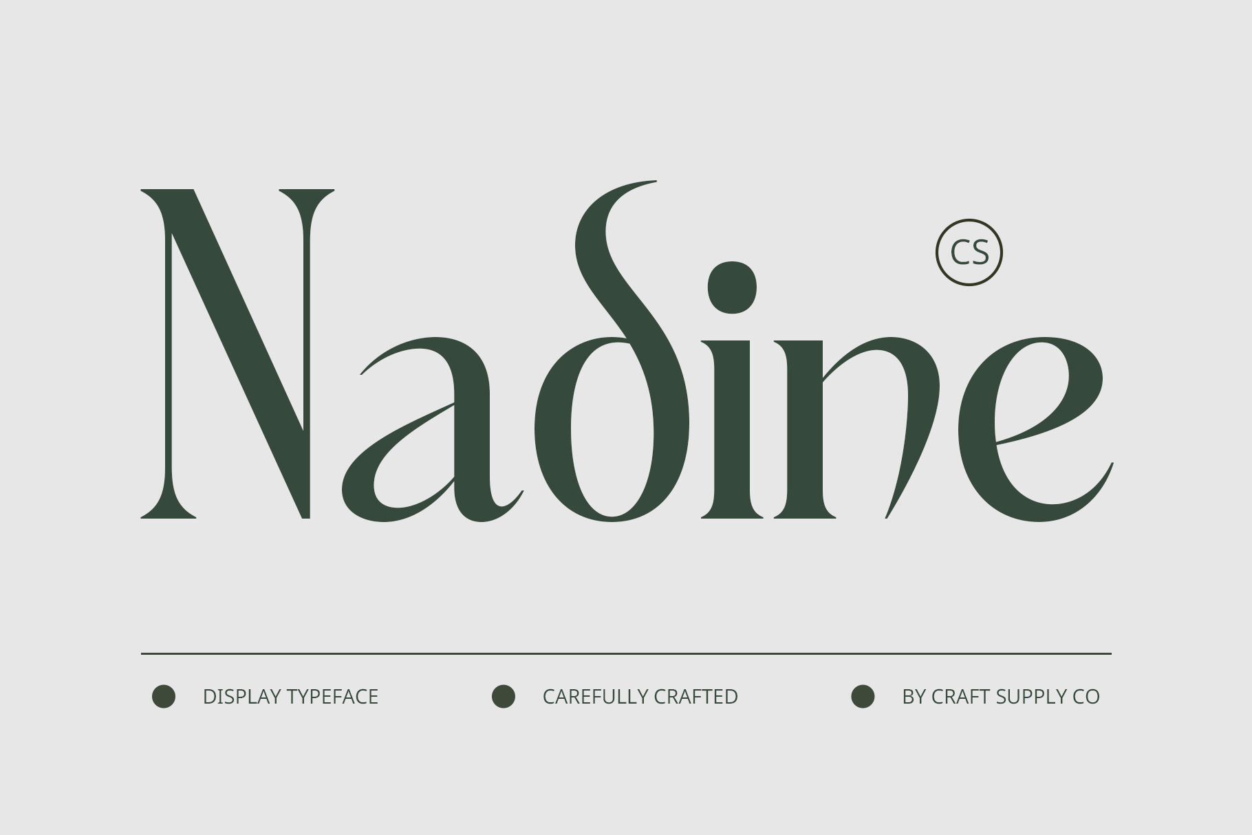 CS Nadine Font: Elegance Rooted in Tradition and Artistry - Craft Supply Co