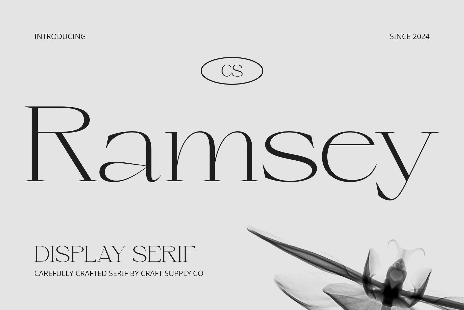 CS Ramsey Font: Minimalist Sophistication for Modern Designs - Craft ...
