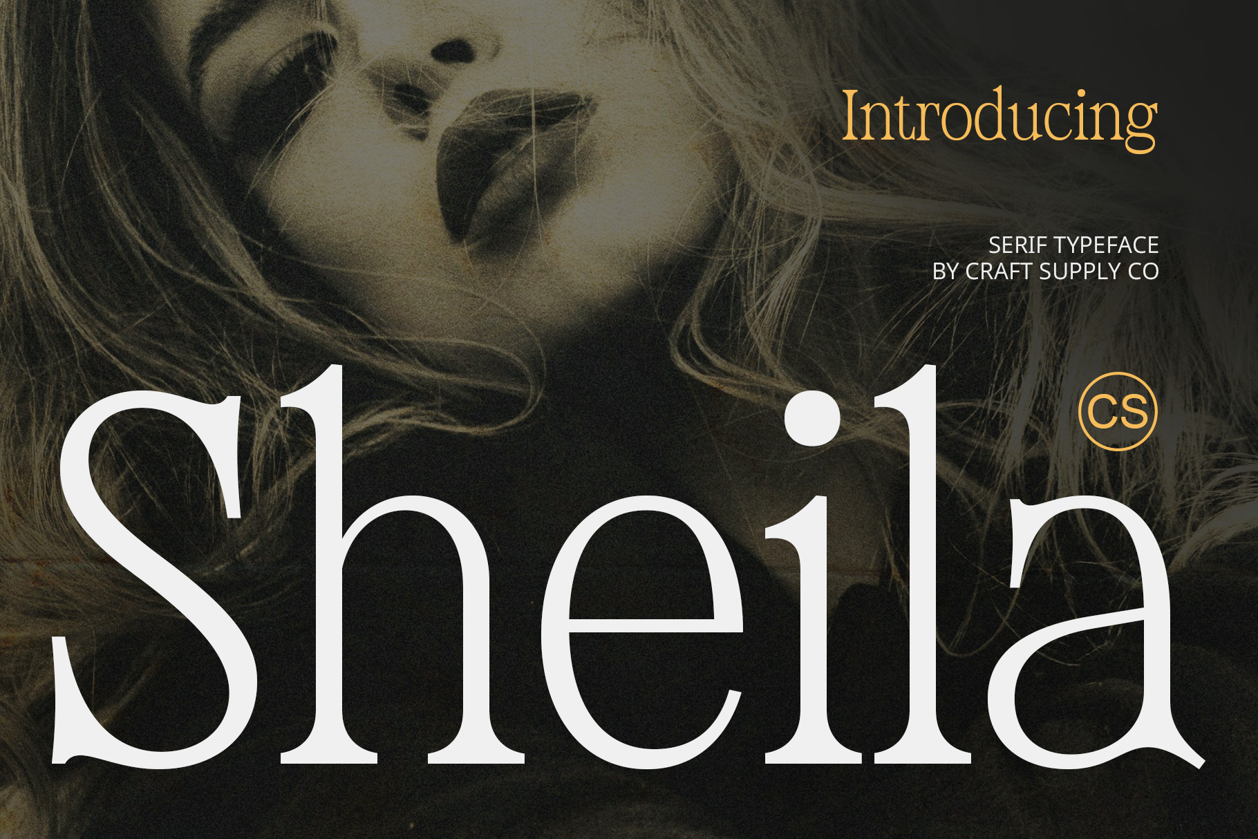 CS Sheila Font: Timeless Elegance with Modern Sophistication - Craft ...