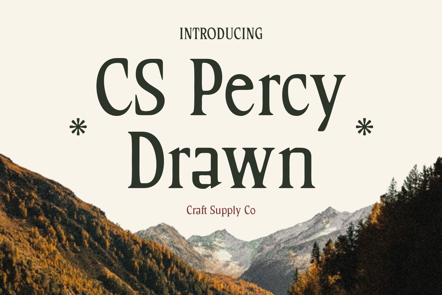 CS Percy Drawn: Classic Elegance Meets Artistic Flair - Craft Supply Co