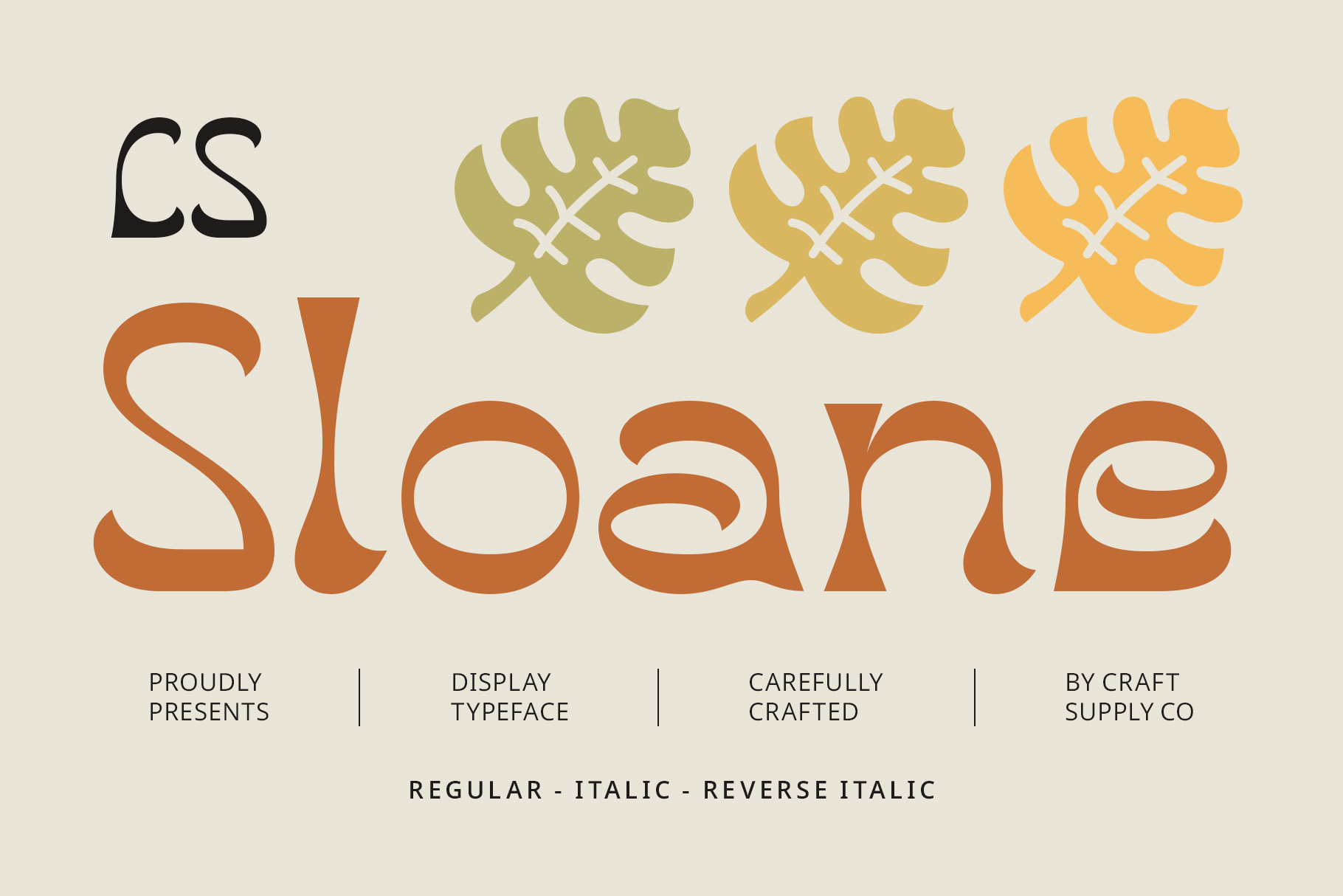 CS Sloane Font: Reverse Contrast Font with 90s Retro Flair - Craft ...