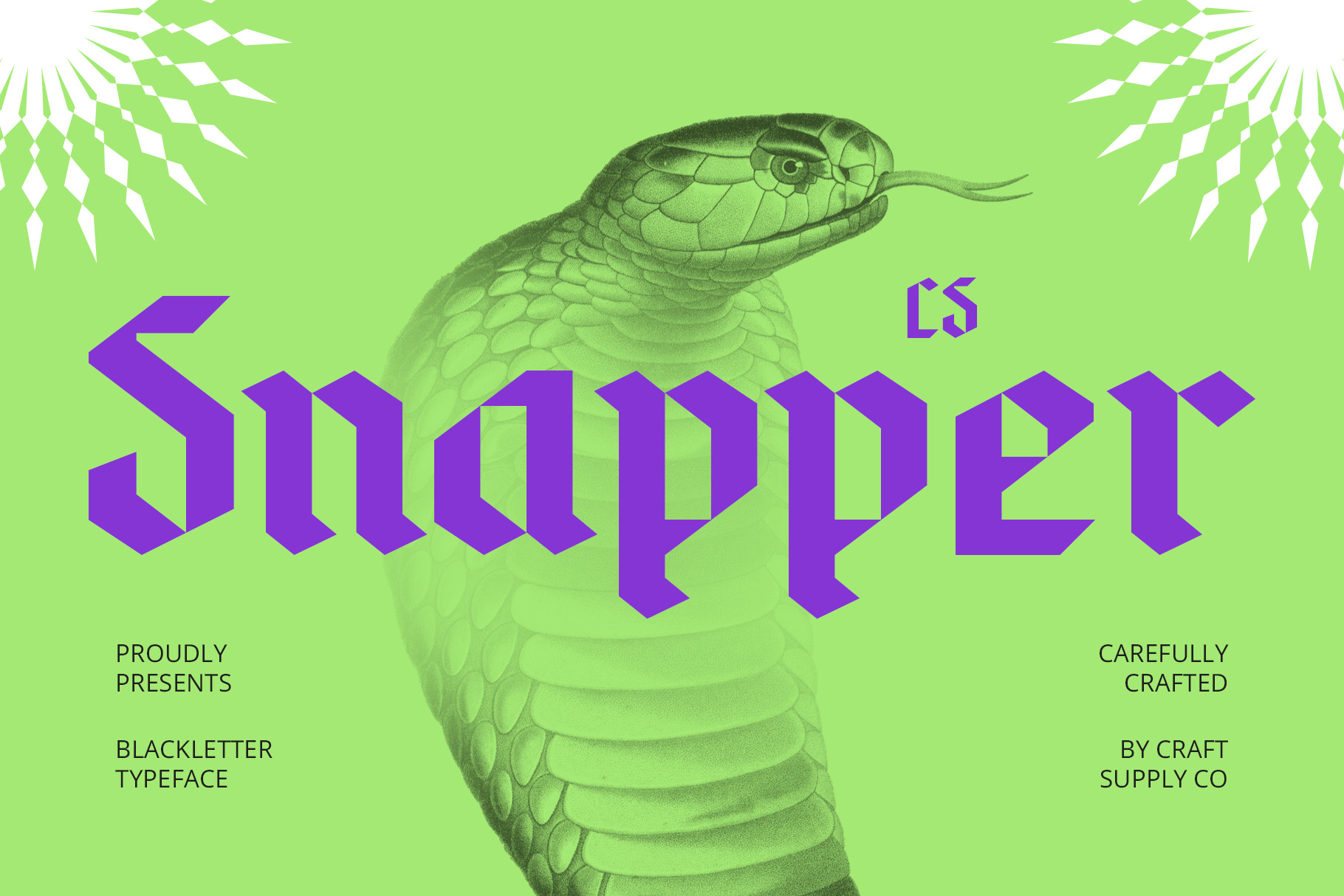 CS Snapper Font: Bold, Contemporary Gothic Elegance - Craft Supply Co