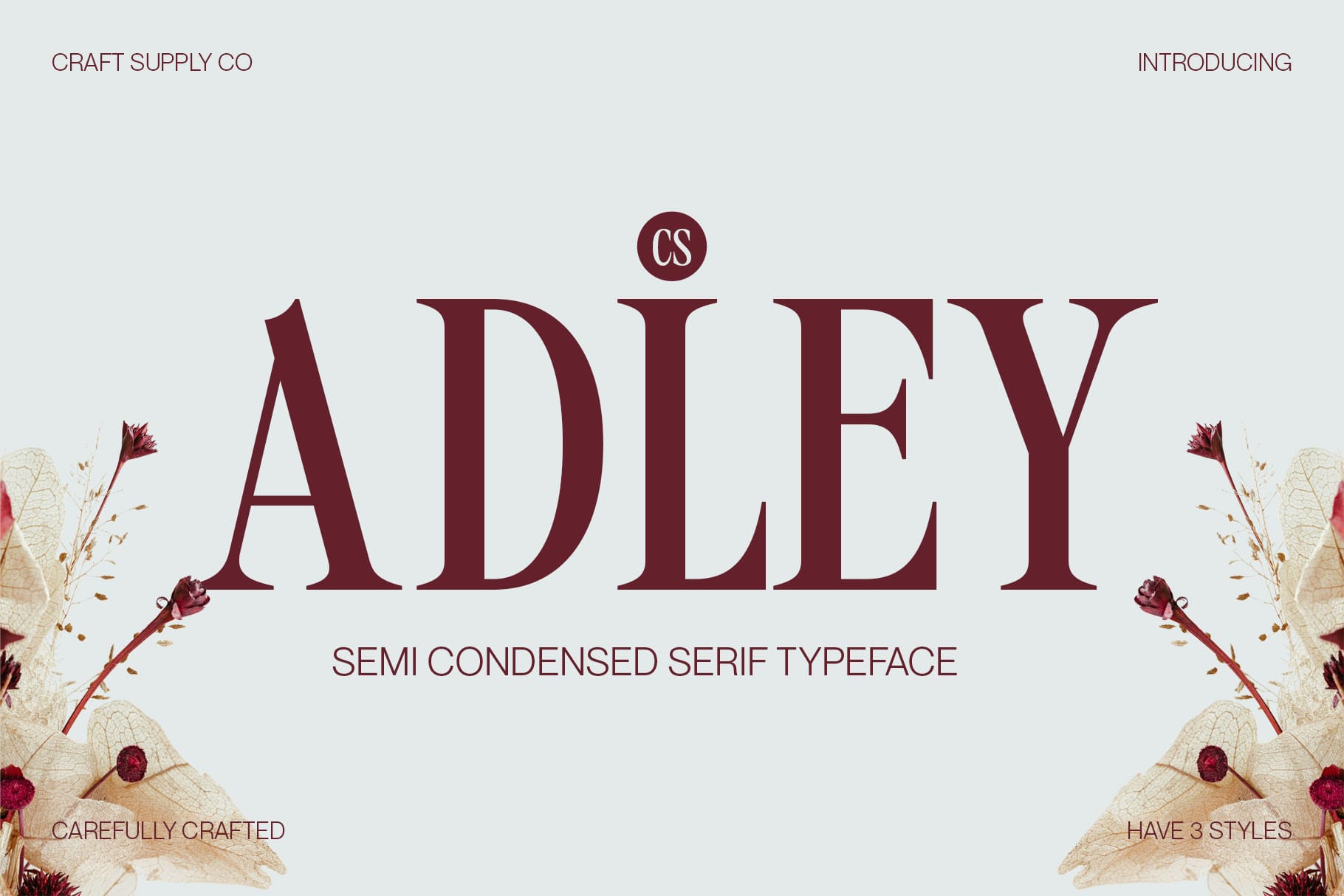 CS Adley Font: A Perfect Blend of Grace and Modernity - Craft Supply Co