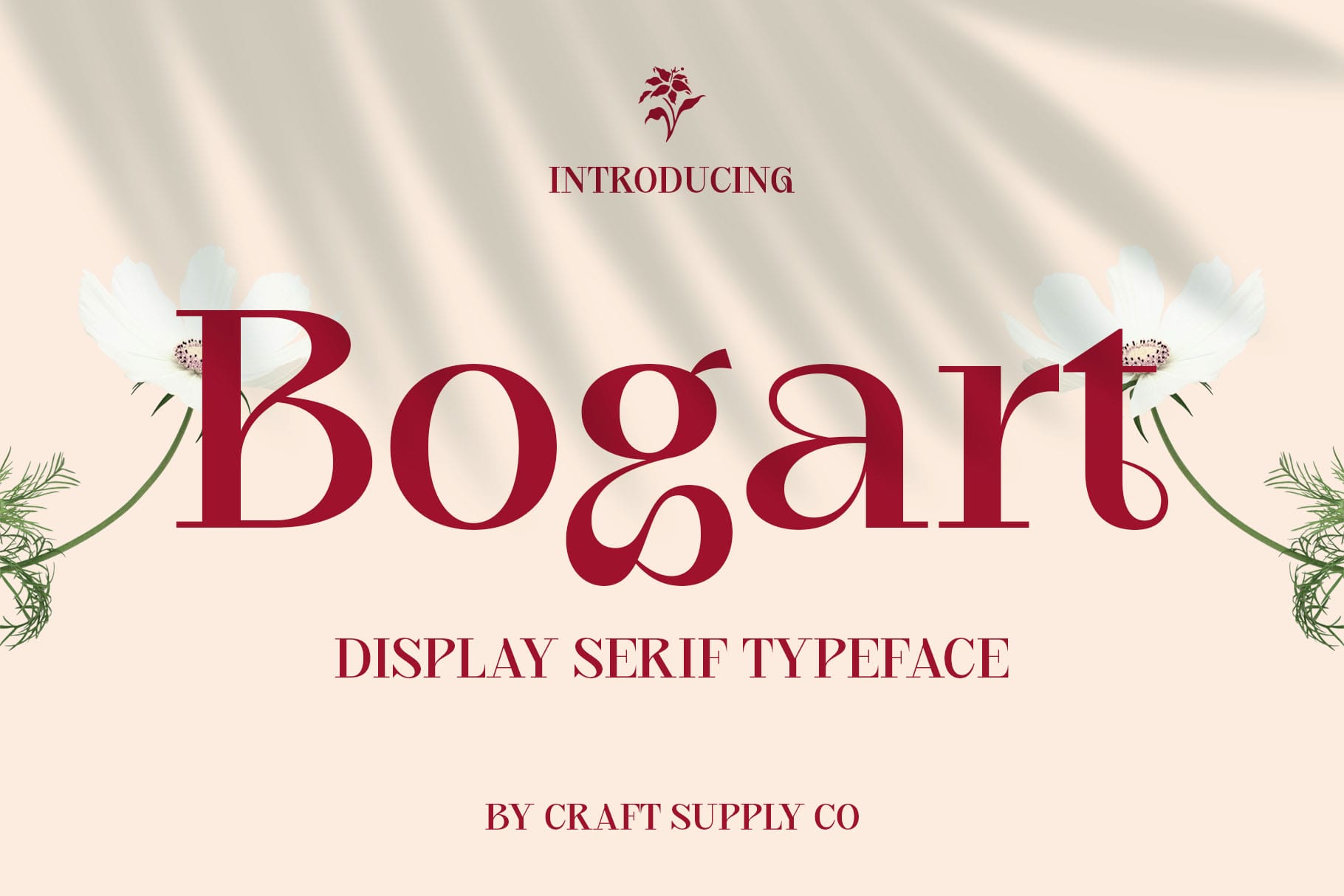 CS Bogart Font: Aesthetic Elegance in Every Letter - Craft Supply Co
