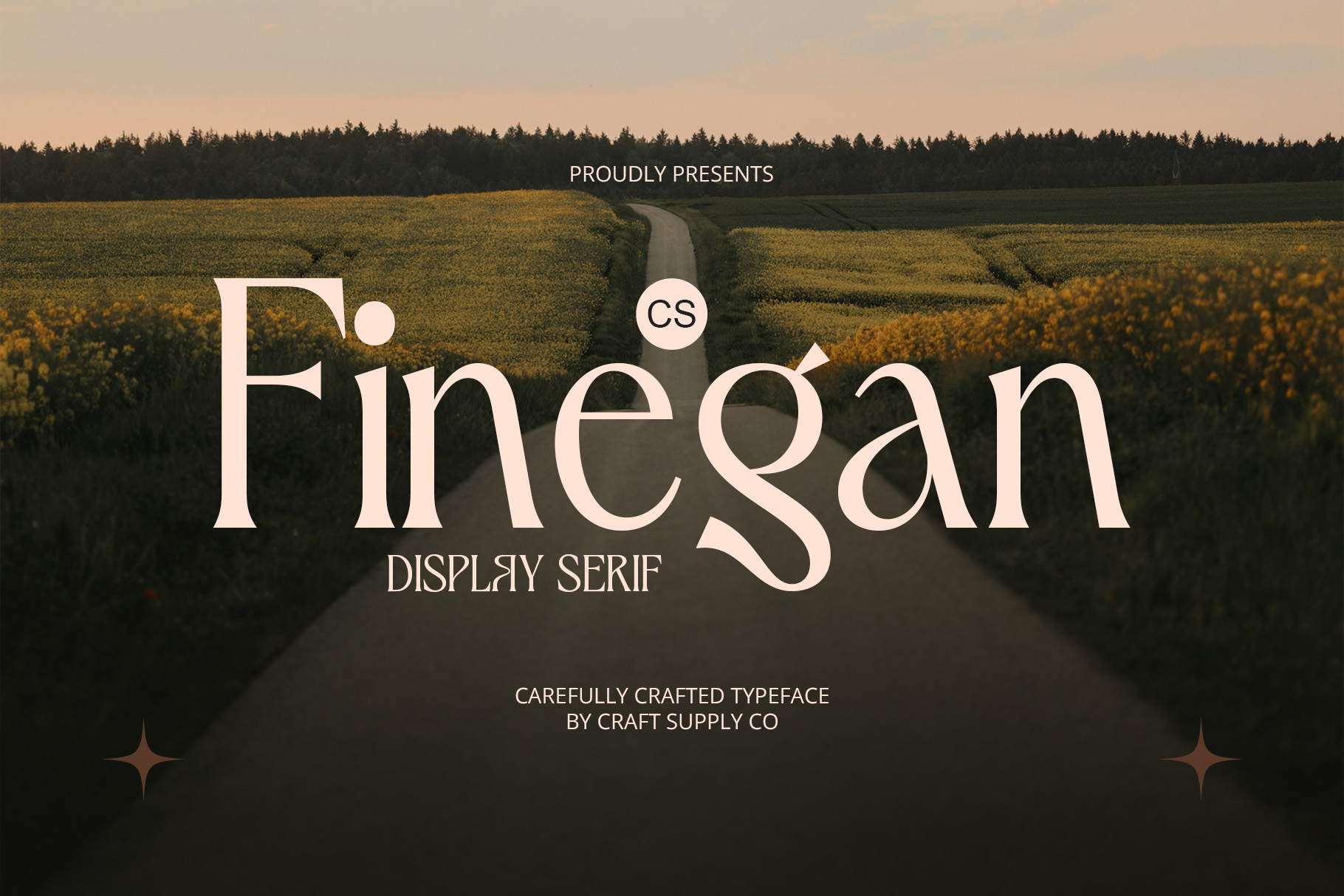CS Finegan Font: Timeless Sophistication Meets Modern Charm - Craft ...