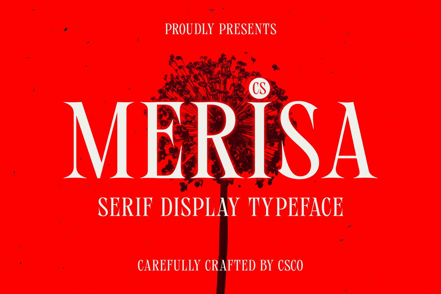 CS Merisa Font: Timeless Elegance in Every Letter - Craft Supply Co