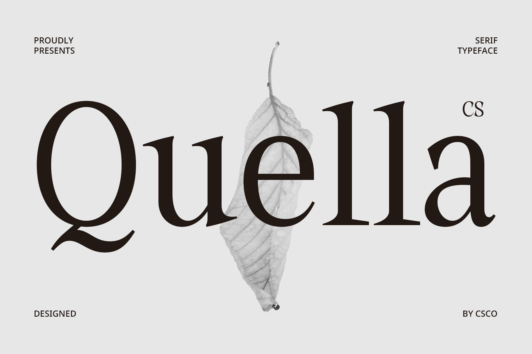 CS Quella Font: Where Elegance Meets Modernity - Craft Supply Co