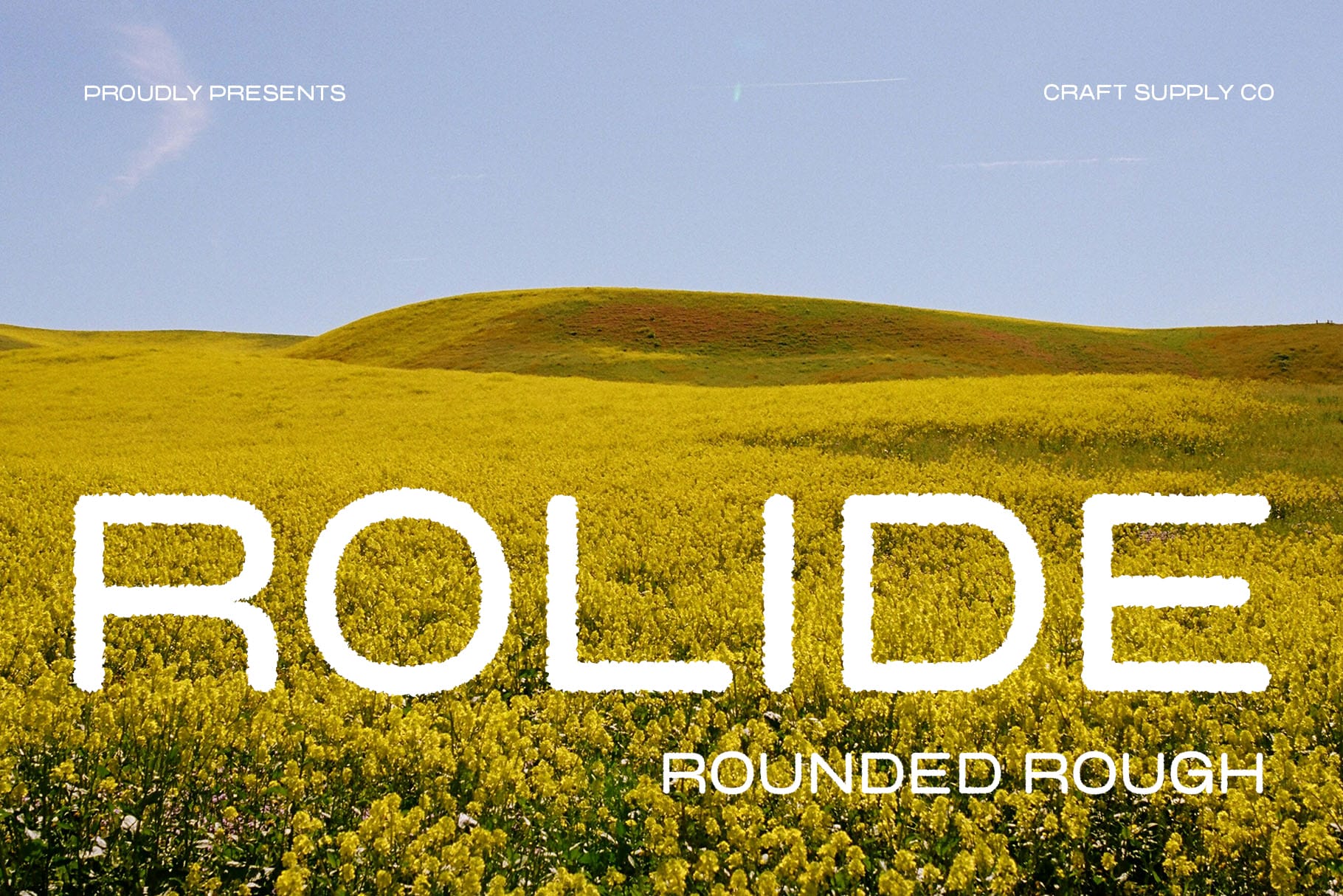 Rolide Rounded Rough : Wide, Rounded, and Tactile - Craft Supply Co