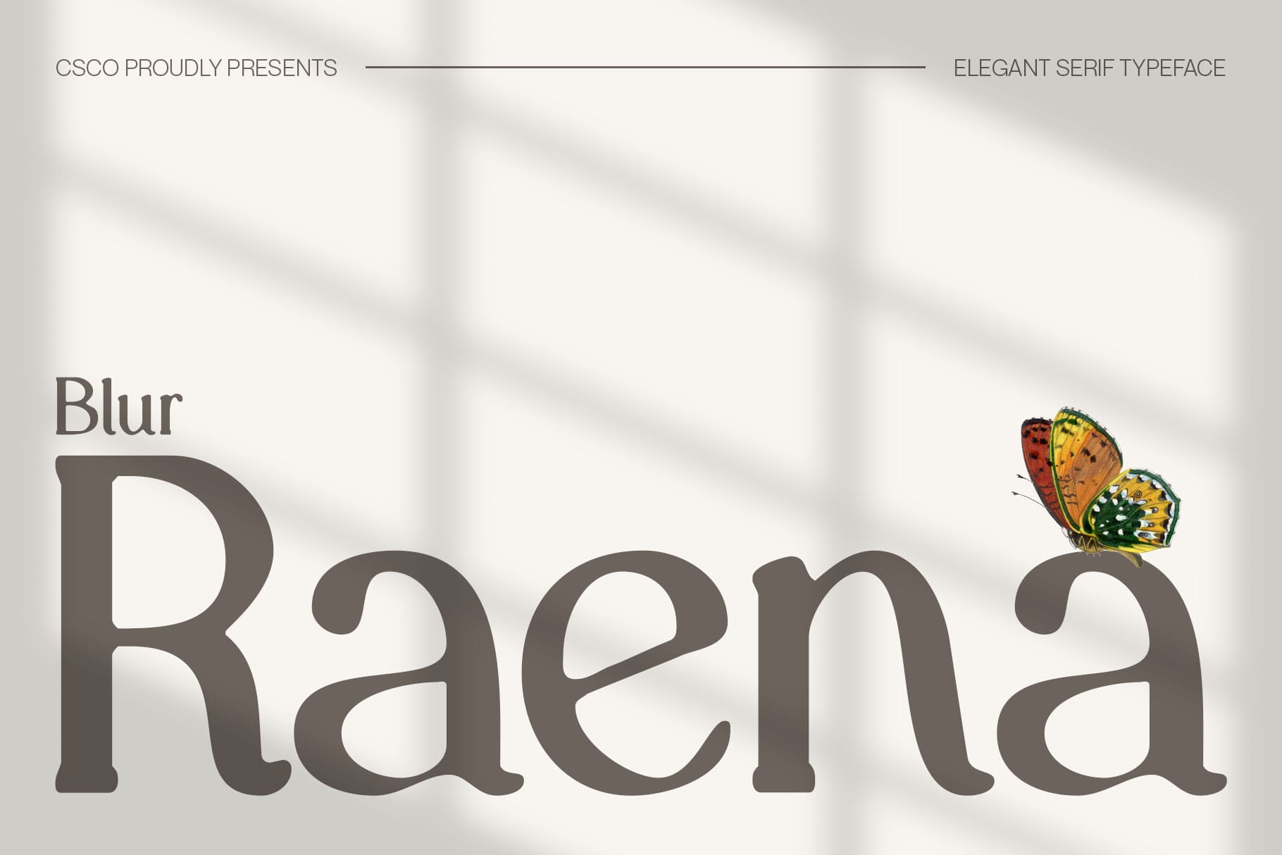 Raena Blur Font: Contemporary Design with Classic Details - Craft Supply Co