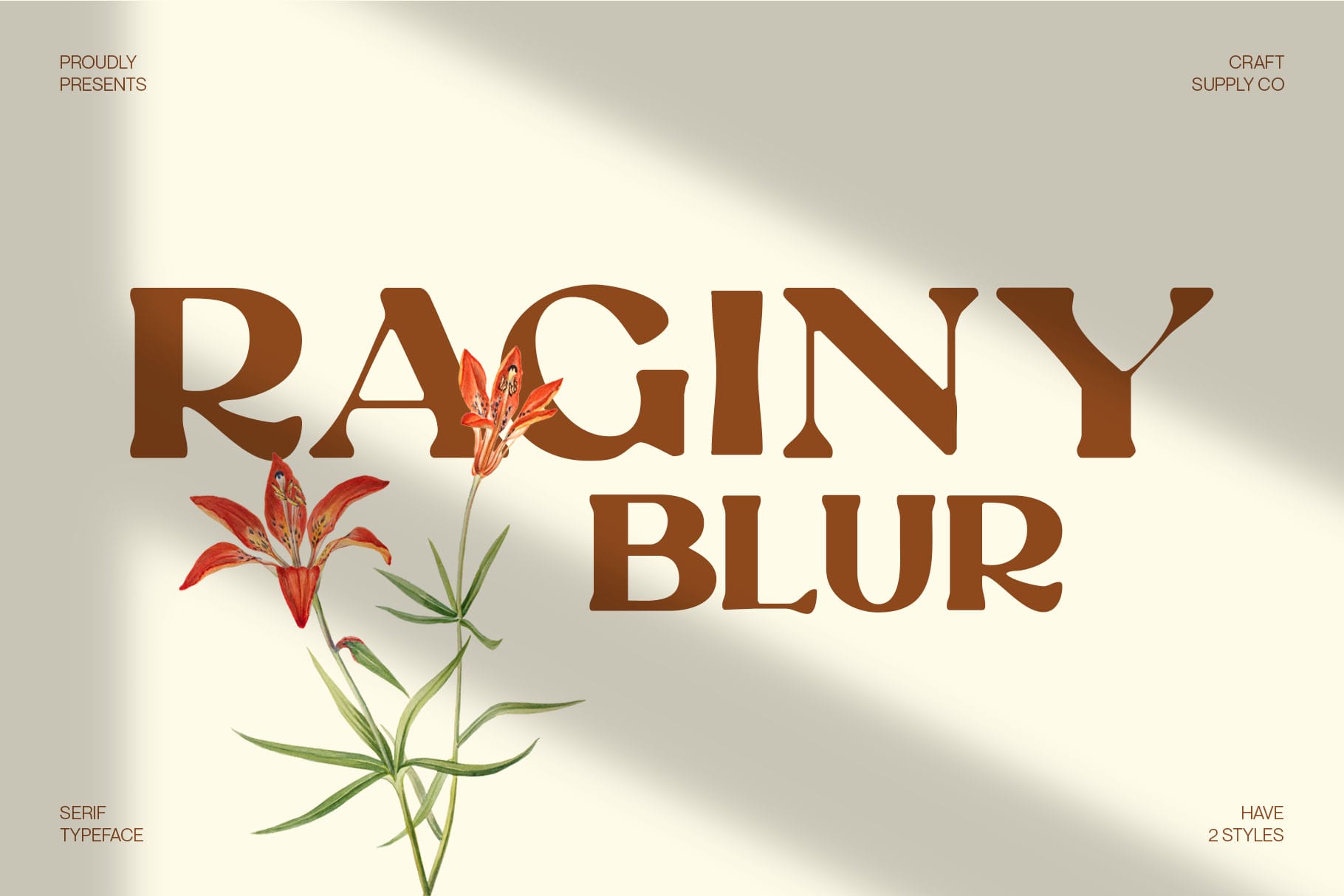 Raginy Blur Font: Refined Modern Elegance - Craft Supply Co