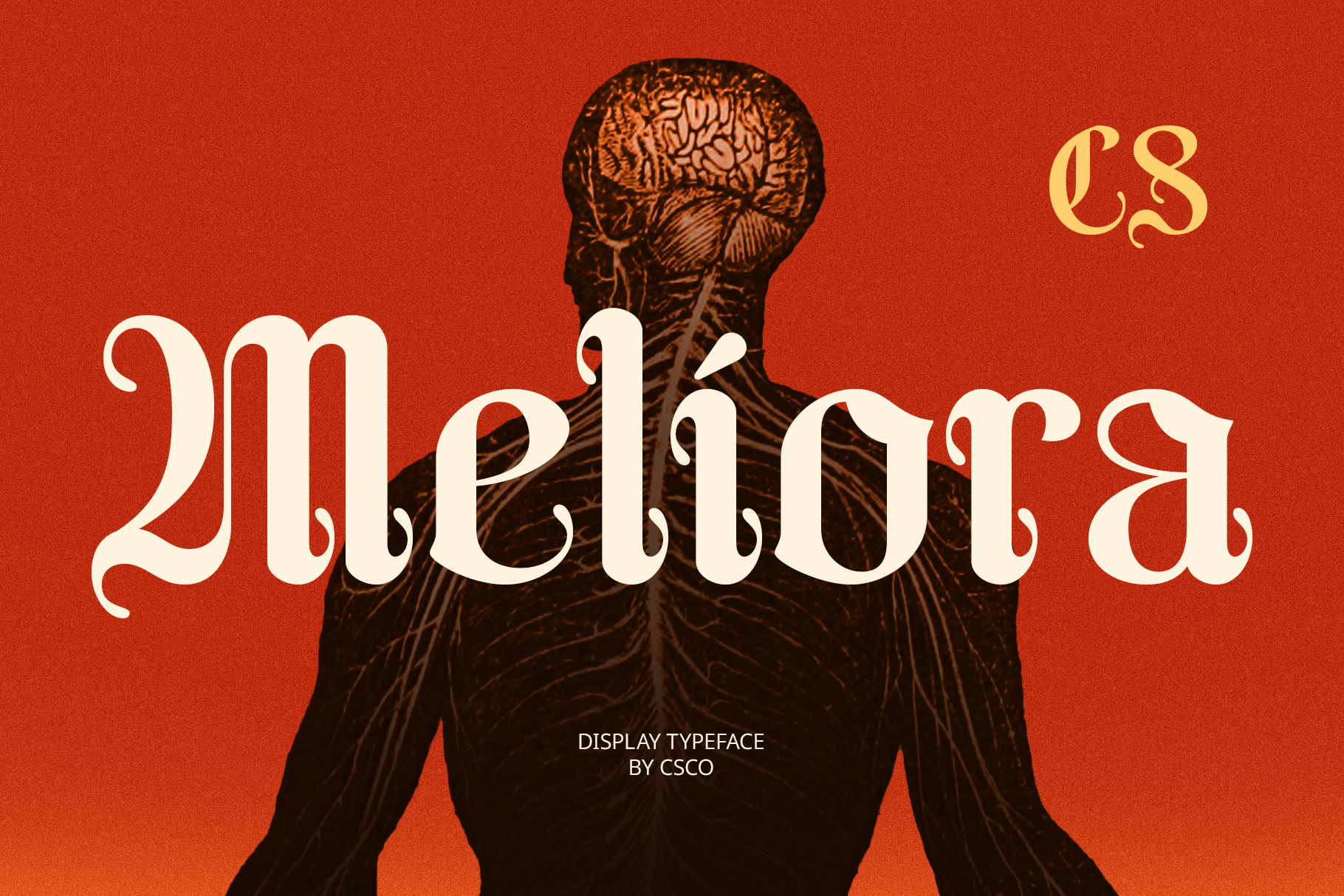 CS Meliora Font: Gothic Tradition with a Modern Edge - Craft Supply Co