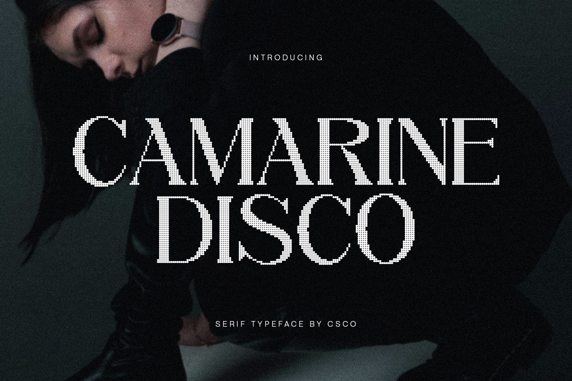 Camarine Disco – Modern Serif with Glamorous Energy