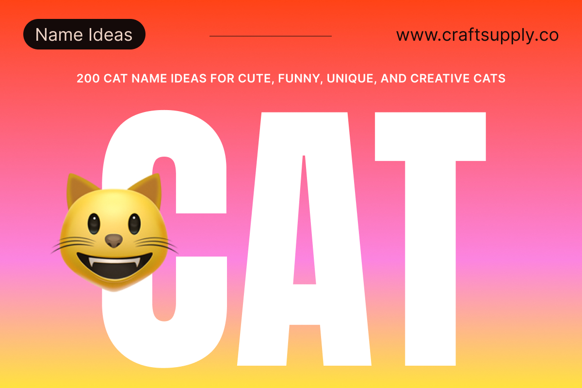 200 Cat Name Ideas for Cute, Funny, Unique, and Creative Cats