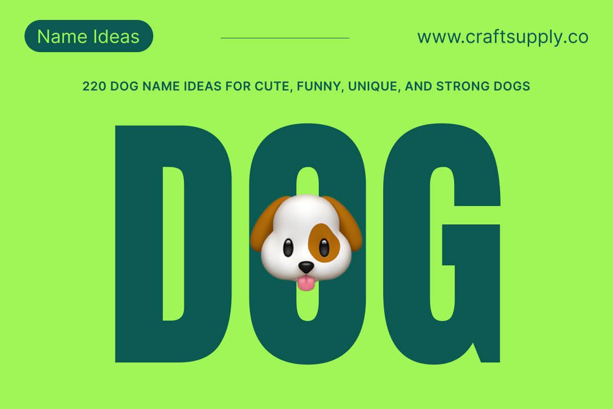 220 Dog Name Ideas for Cute, Funny, Unique, and Strong Dogs