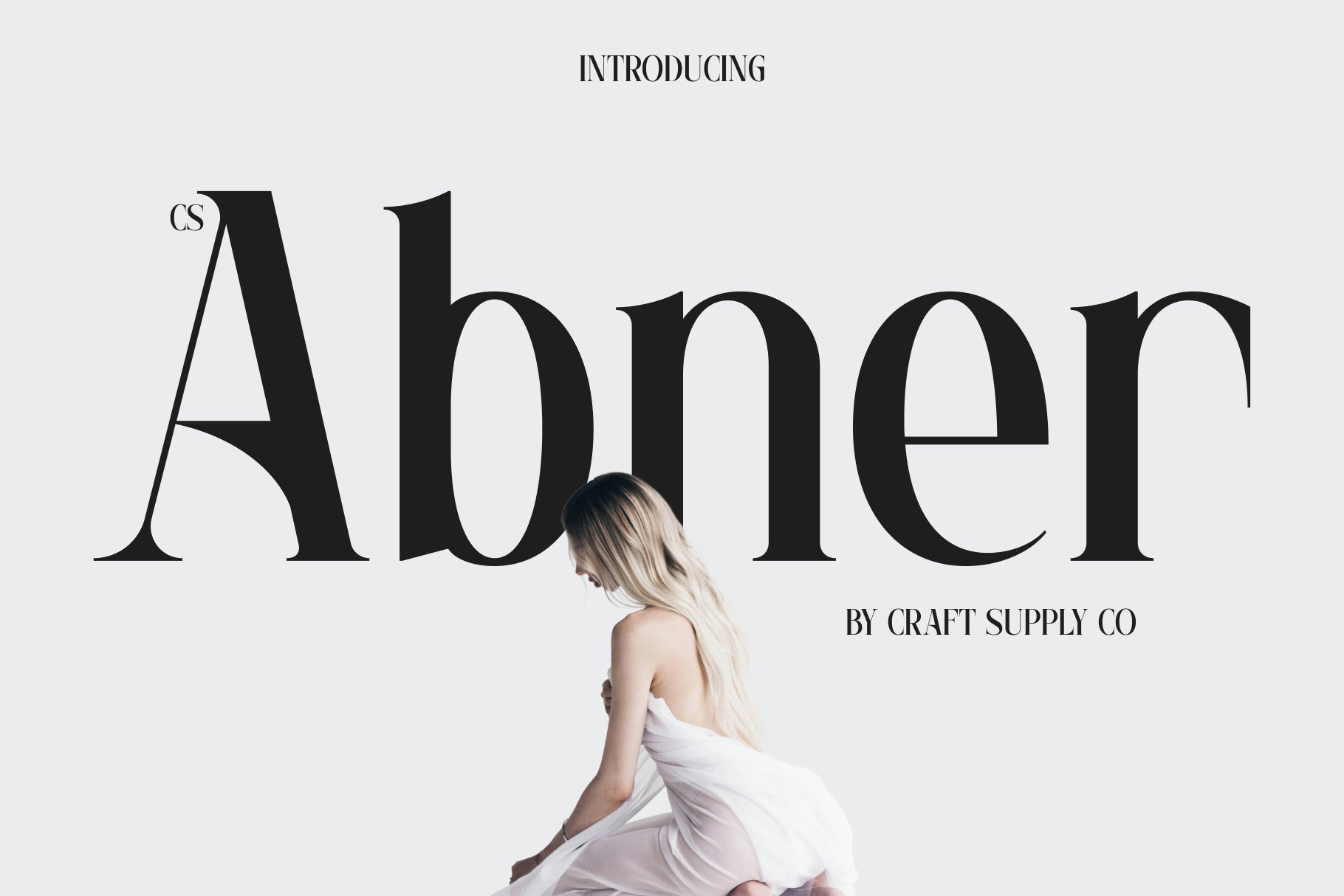 CS Abner: Elegant High Contrast Serif Font for Luxury Design - Craft ...